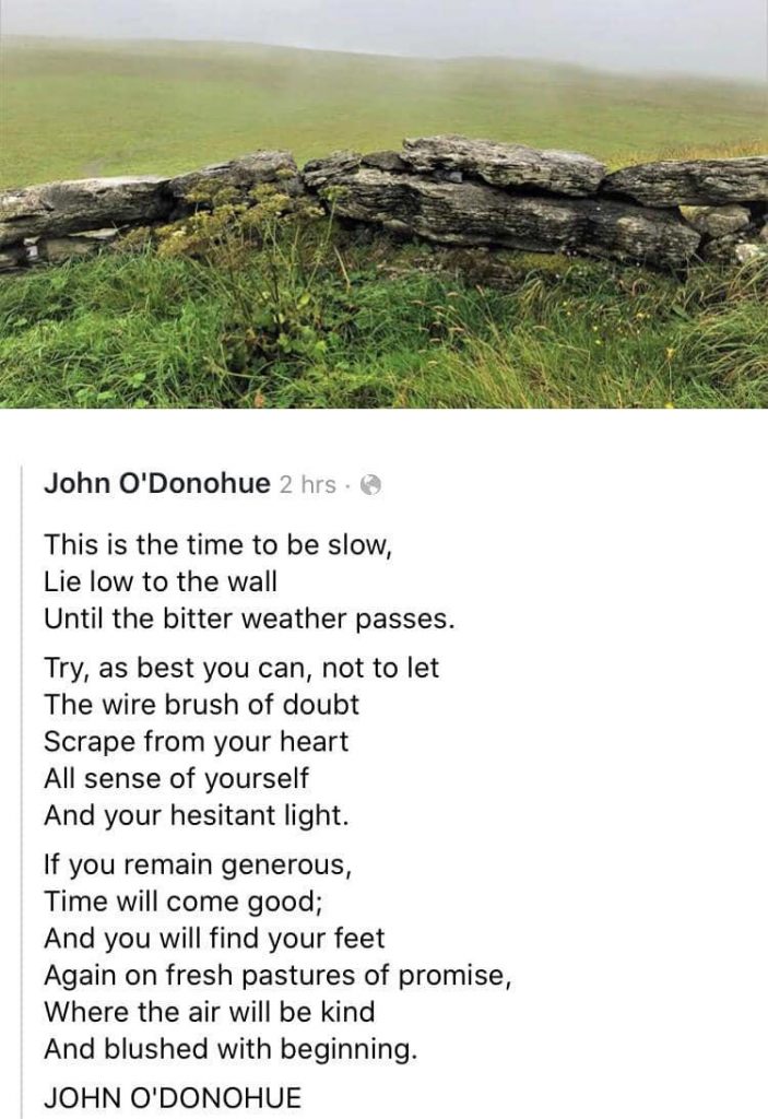 Mental Health Advice From Elders on Dealing with Isolation & Crisis